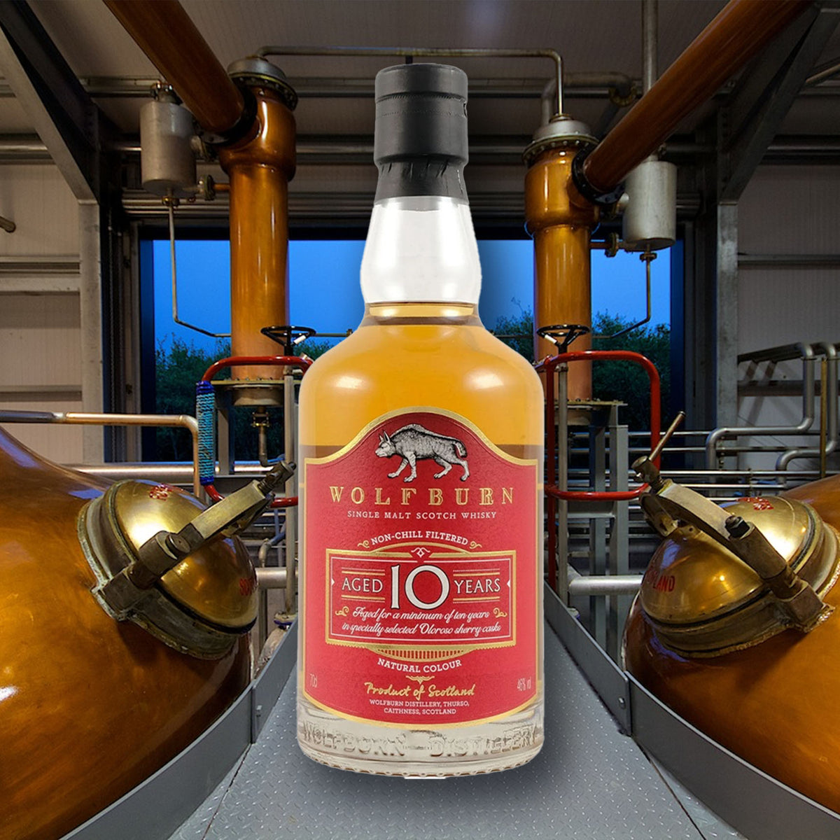 Wolfburn | 10 Year Old – Whisky Me